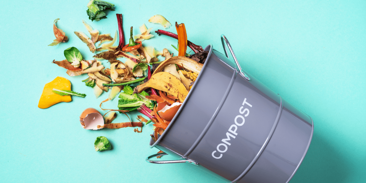 Tout savoir sur le compostage : une technique éco-responsable